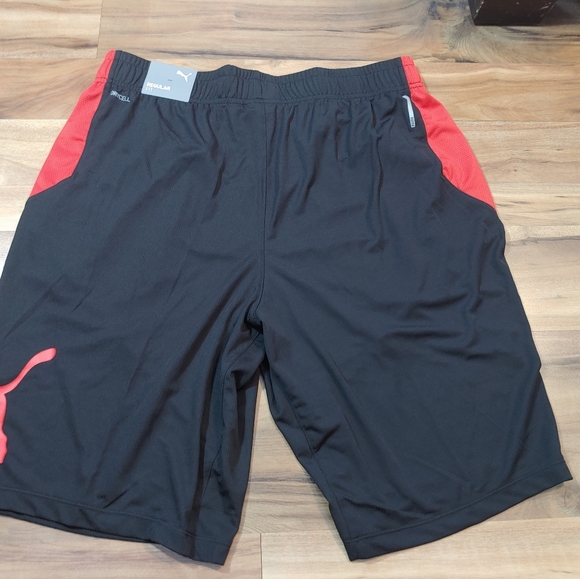 Puma | Shorts | Puma Shorts Dry Cell Mens Brand New | Poshmark